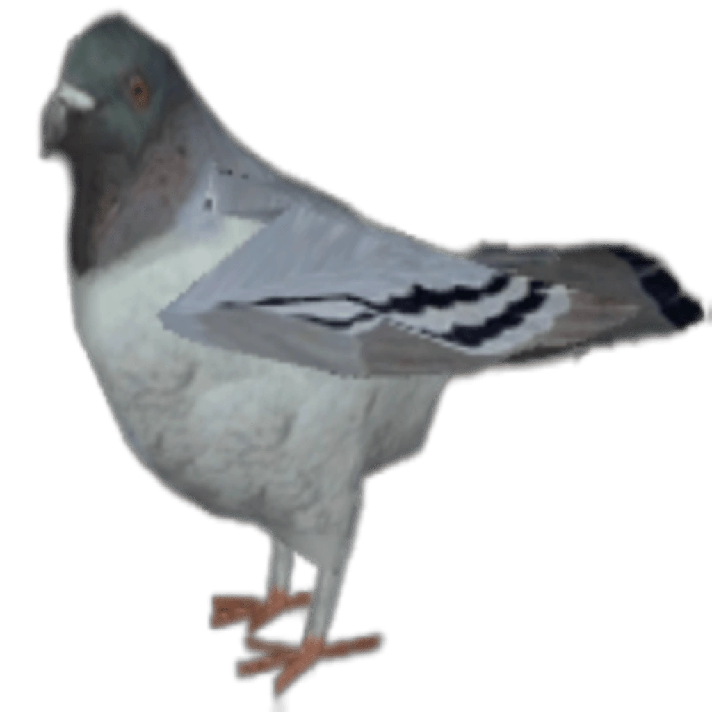 the pigeon from gmod | Nico's Nextbots Wiki | Fandom