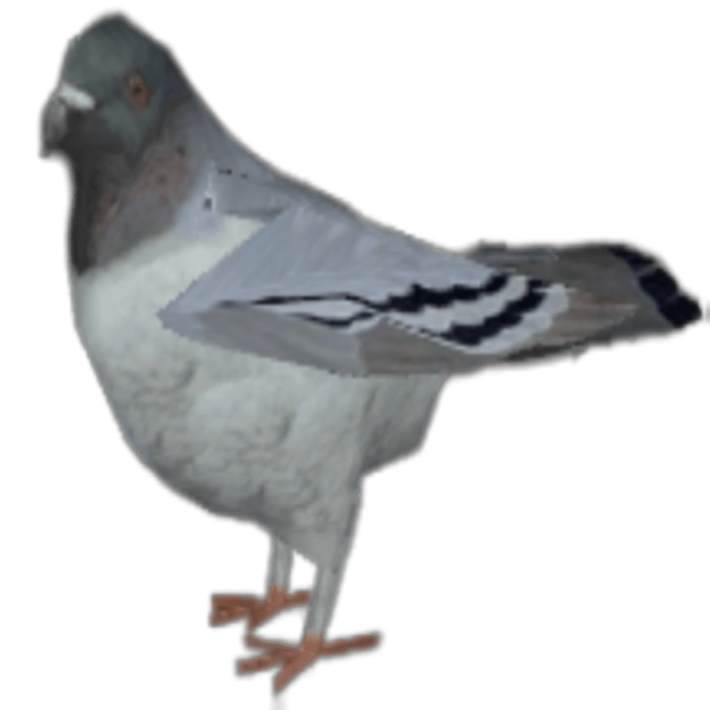 the pigeon from gmod | Nico's Nextbots Wiki | Fandom