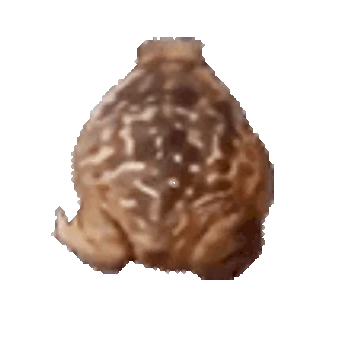 frog | Nico's Nextbots Wiki | Fandom