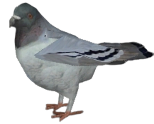 The Pigeon From Gmod | Nico's Nextbots Wiki | Fandom