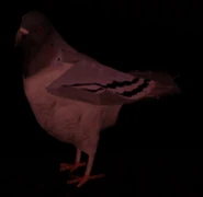 the pigeon from gmod | Nico's Nextbots Wiki | Fandom