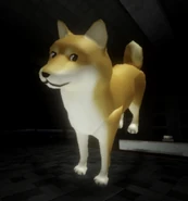 doge | Nico's Nextbots Wiki | Fandom