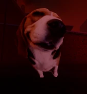 beagle | Nico's Nextbots Wiki | Fandom