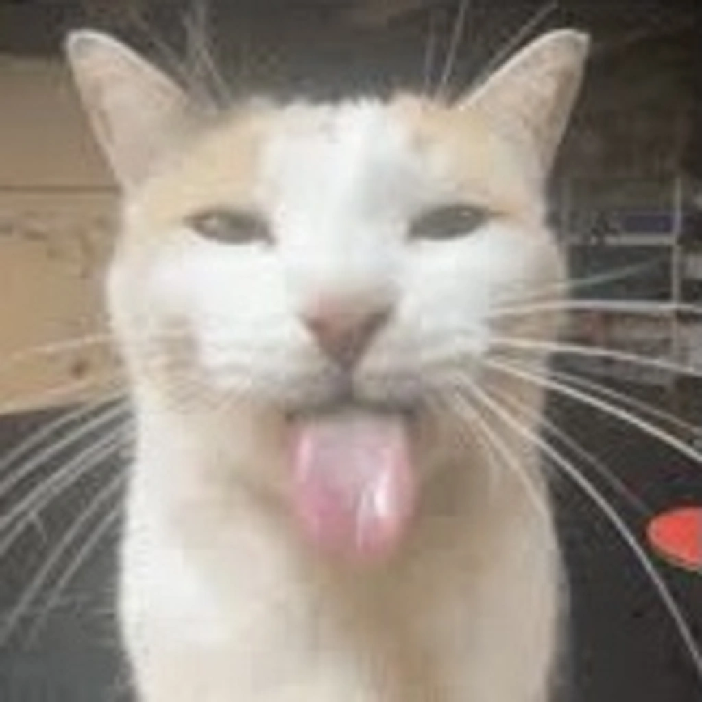 silly cat | Nico's Nextbots Wiki | Fandom