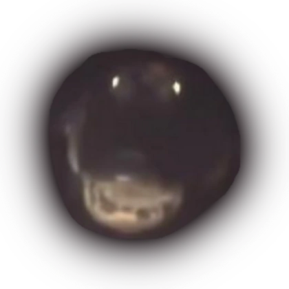 gator | Nico's Nextbots Wiki | Fandom