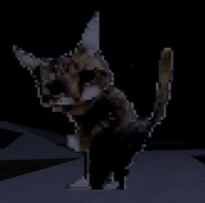 cat | Nico's Nextbots Wiki | Fandom