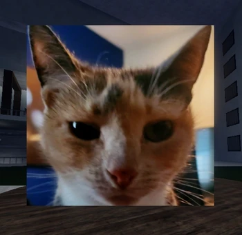 cammy cat | Nico's Nextbots Wiki | Fandom