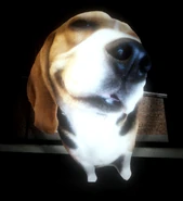 beagle | Nico's Nextbots Wiki | Fandom