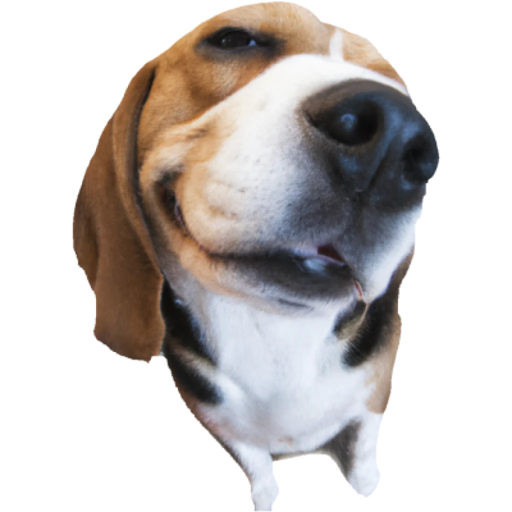 Beagle | Nico's Nextbots Wiki | Fandom