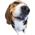 nextbots rng 🎲 | Nico's Nextbots Wiki | Fandom