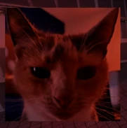 cammy cat | Nico's Nextbots Wiki | Fandom