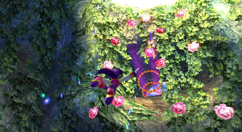 Memory Forest | Nights into Dreams Wiki | Fandom