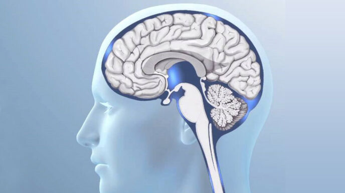 Cum Brain Syndrome Weskerocity Discord Wiki Fandom
