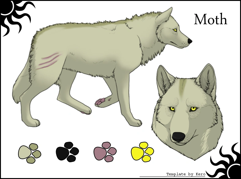 Moth | Night Broken Wiki | Fandom