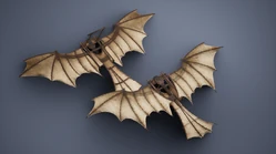 Gliders | Night Crows Wiki | Fandom