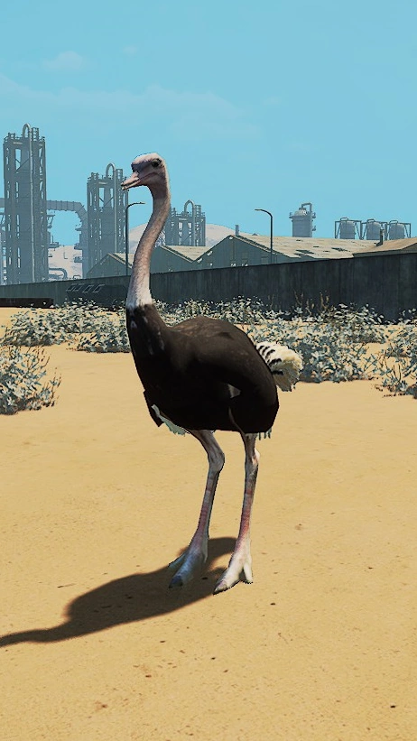 Ostrich | Night of the Dead Wiki | Fandom