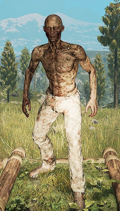 Bruiser | Night of the Dead Wiki | Fandom