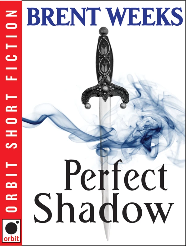 Perfect Shadow | Night Angel Wiki | Fandom