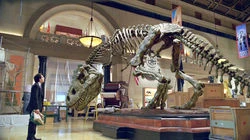 Rexy | Museumipedia Wiki | Fandom