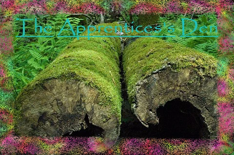 Apprentices' Den | NightClan Roleplaying Wiki | Fandom