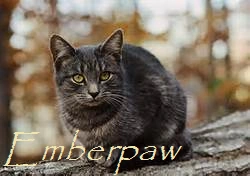 Emberpaw | NightClan Roleplaying Wiki | Fandom