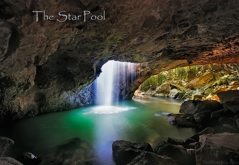 The Star Pool | NightClan Roleplaying Wiki | Fandom