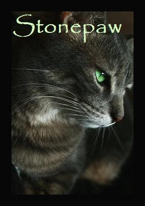 Stoneclaw | NightClan Roleplaying Wiki | Fandom