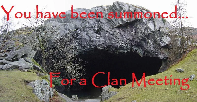 Clan Meeting | NightClan Roleplaying Wiki | Fandom