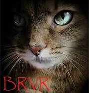 BRVR | NightClan Roleplaying Wiki | Fandom