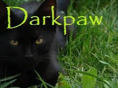 Darkpaw | NightClan Roleplaying Wiki | Fandom