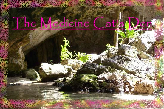 Medicine Cat's Den | NightClan Roleplaying Wiki | Fandom