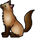 Sandstream | Nightclan Wiki | Fandom