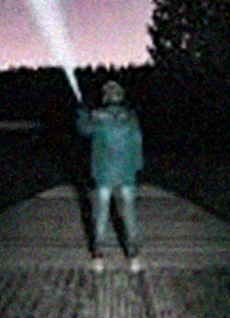 Vic Wolfe | Nightfall: Cryptic Wiki | Fandom