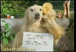 Nightmare Fuel (Photo Gallery) | Nightmare Fuel Wiki | Fandom