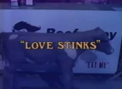 Love Stinks | Elm Street Wiki | Fandom