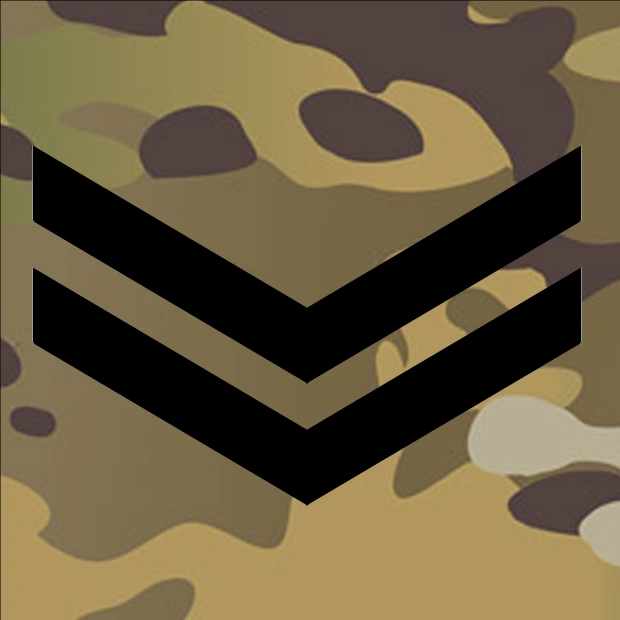 Command Master Sergeant | Night Owls NERF Community Wikia | Fandom