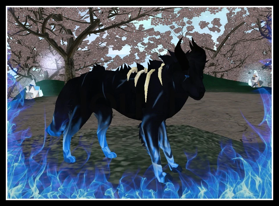 Members | NightRaid Wikia | Fandom