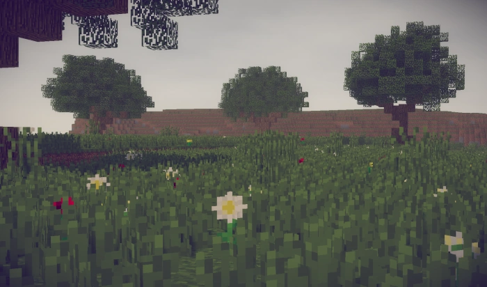 Plains | NightRealm Wiki | Fandom