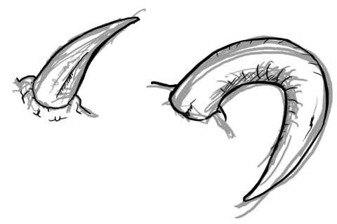 how to draw dragon horns