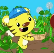 Rintoo/Outfits | Ni Hao, Kai-Lan Wiki | Fandom