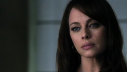 Helen Collins Nikita Amanda Collins | Nikita Wiki | Fandom