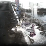 Dorothy's gallery | Nikke Goddess of Victory International Wiki | Fandom