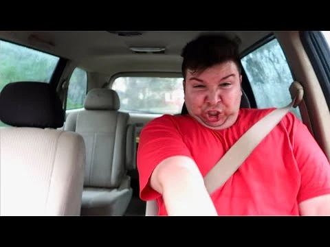 Stop Feeding The Cats!!! | Nikocado Avocado Wiki | Fandom