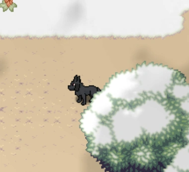 Leno | Nin Online Wiki | Fandom