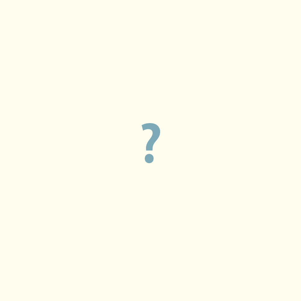 NN5 | Nina Nesbitt Wiki | Fandom