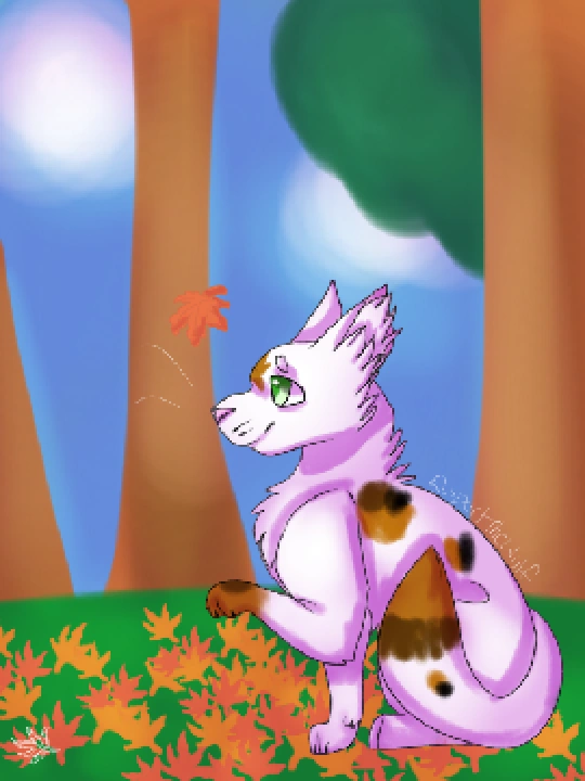 Maplestar | Nine Lives Wiki | Fandom