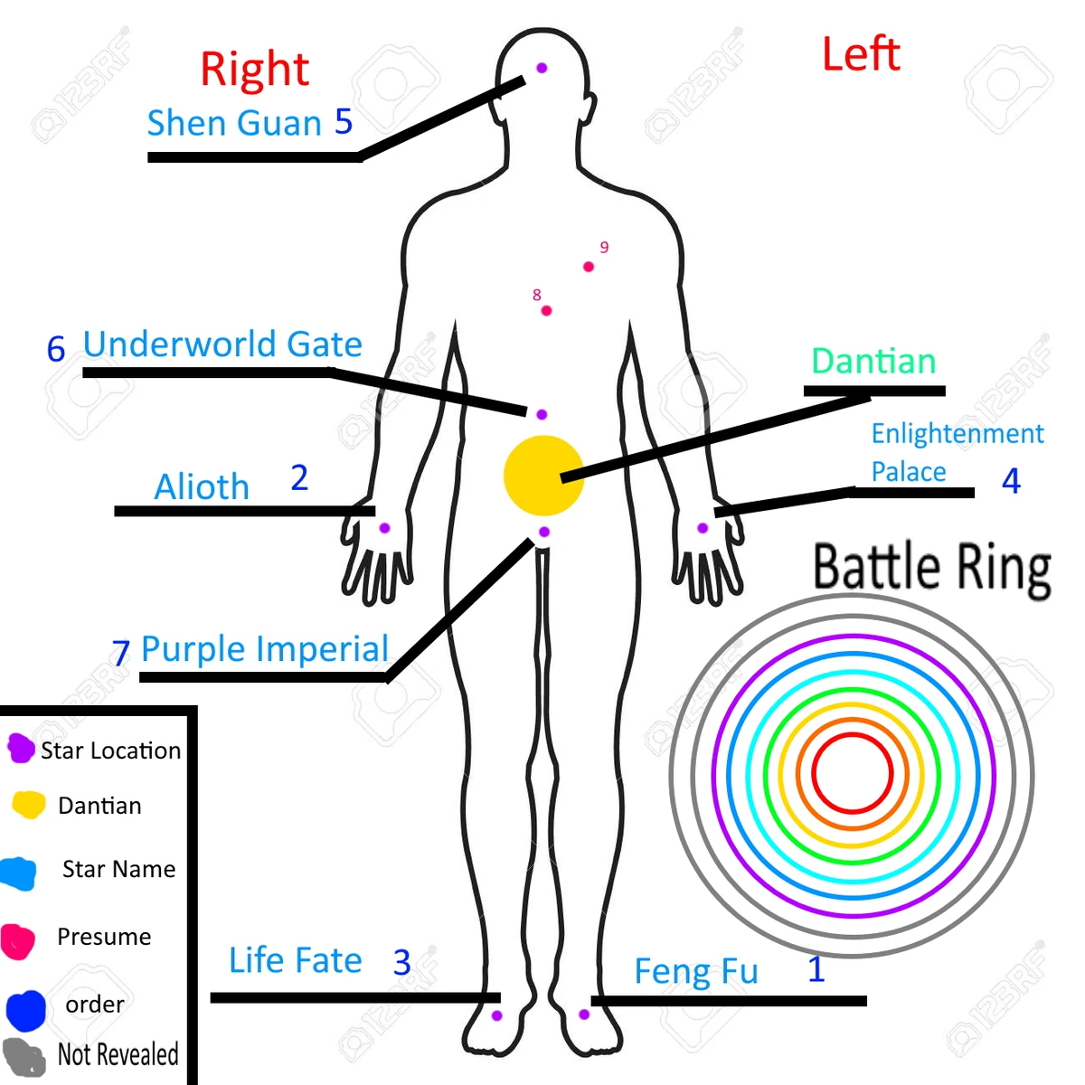 Long Chen/Nine Star Hegemon Body Art | Nine Star Hegemon Body Arts Wiki ...