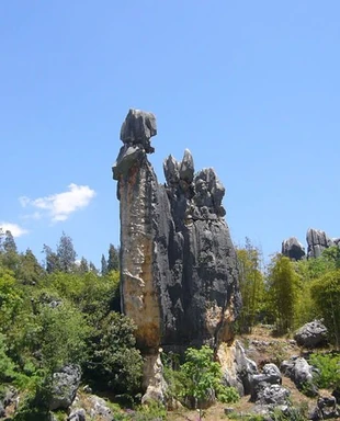 Stone Forest | Guild Folkvangr Wikia | Fandom