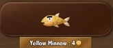 Yellow Minnow | Ninja Fishing Wiki | Fandom