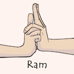 Body Replacement Technique | Ninja-Generation Wiki | Fandom